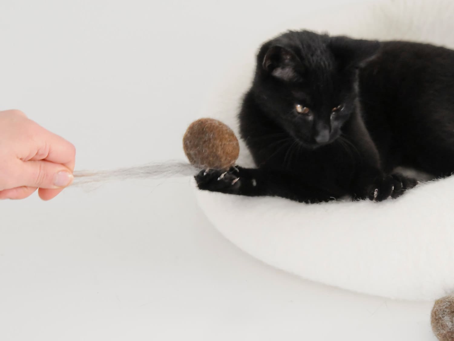 Kitty Chase Toy - Natural Cat Toy with Felt Ball, Boiled Wool Ball with ...